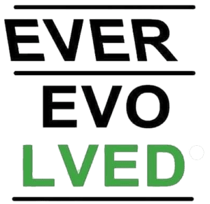 Evolving Artist's Brand and Creativity | Ever Evolved